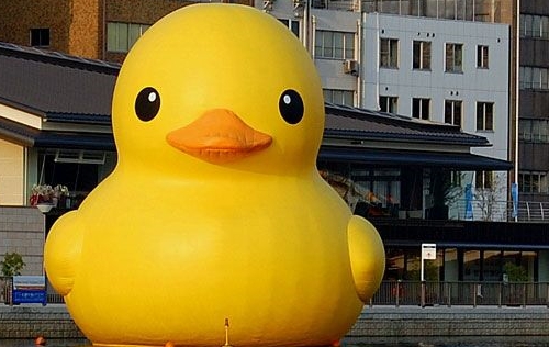 Canards géants Rubber Duck